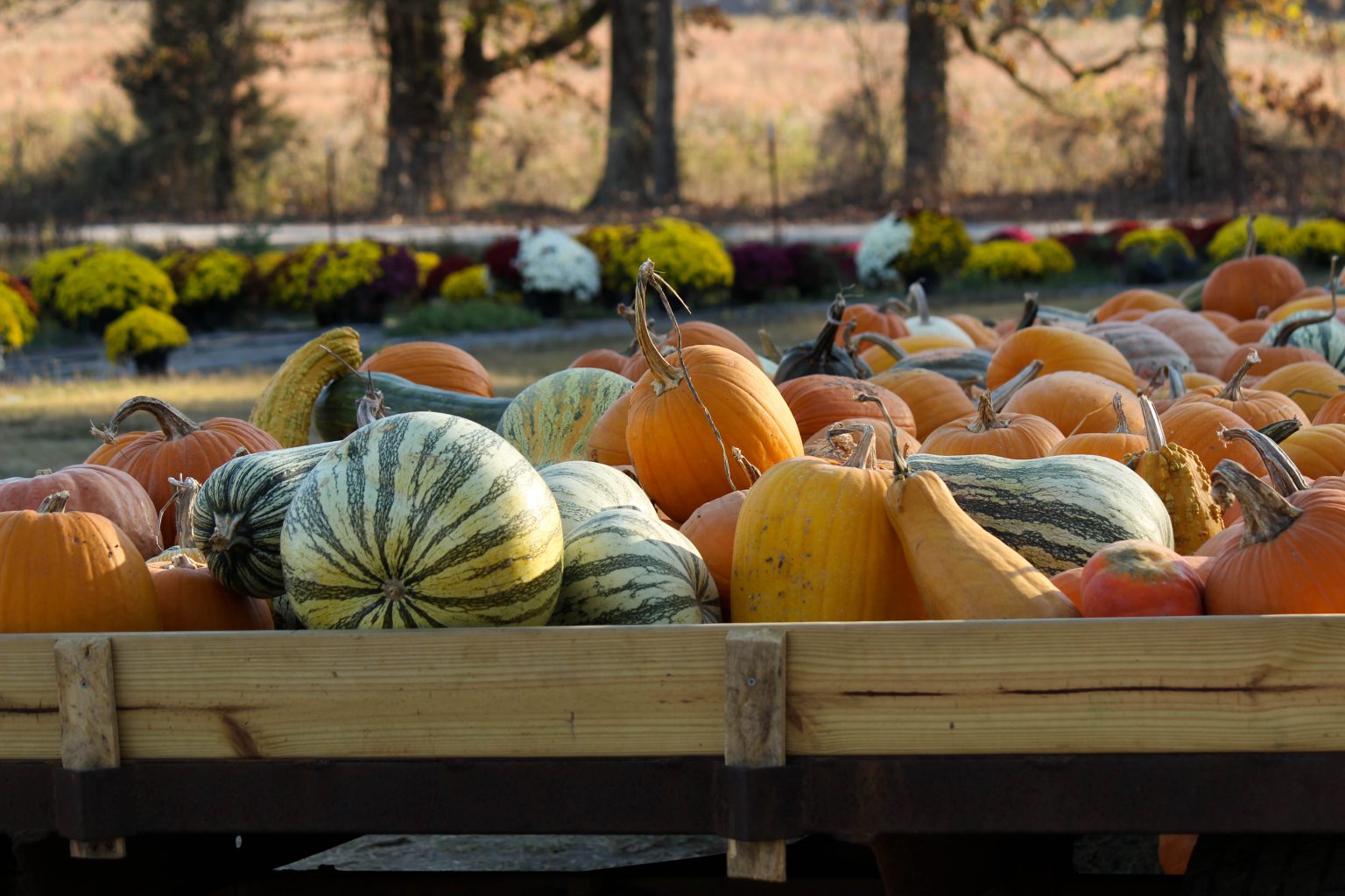 About – McGee Farm