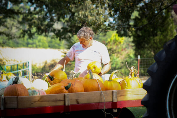 About – McGee Farm